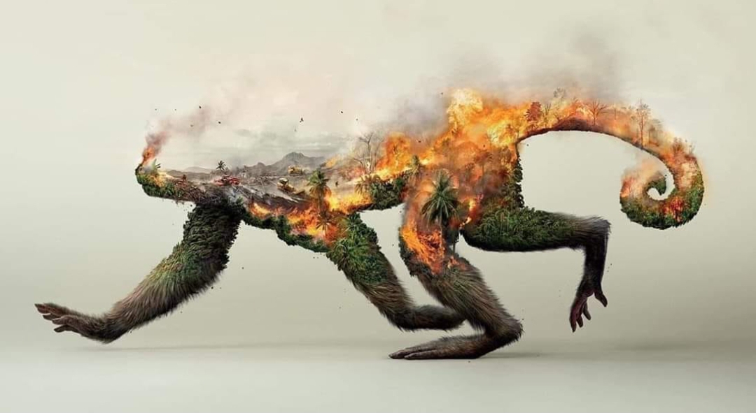 Gallery - Victor Suarez